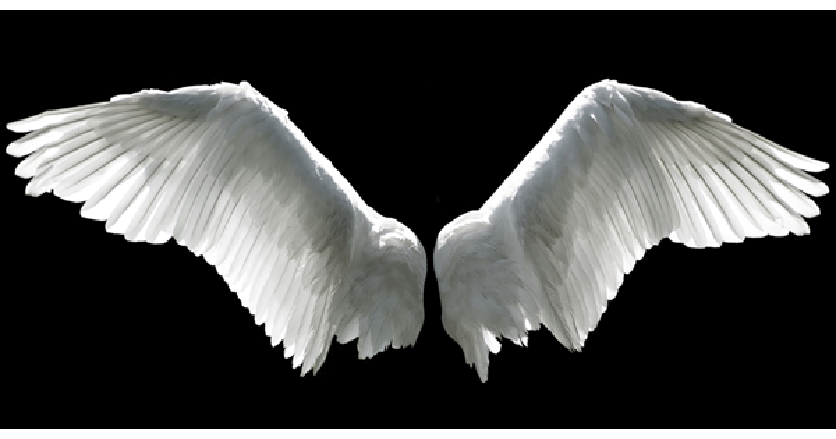 Quadro ALI D'ANGELO G2216 PINTDECOR